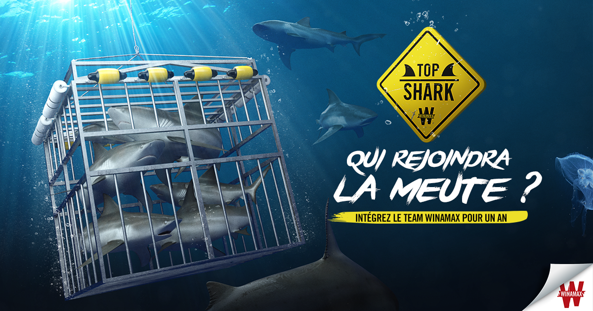 Top Shark, Semaine 5 : coup du chapeau pour IllicoBusto - Actualité ...